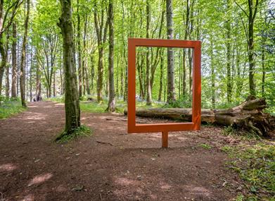 Picture This: Garvagh Forest - Garvagh - Discover Northern Ireland