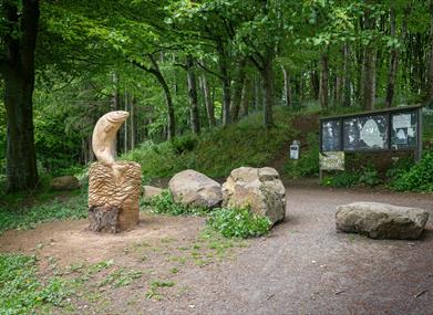 Picture This: Garvagh Forest - Garvagh - Discover Northern Ireland