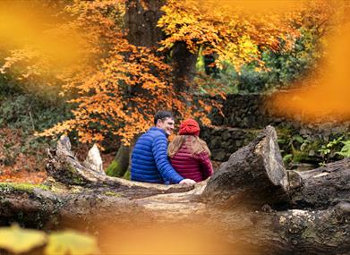 Kilbroney Park - Rostrevor - Discover Northern Ireland