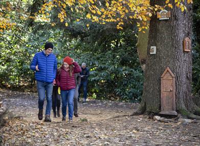 Kilbroney Park - Rostrevor - Discover Northern Ireland