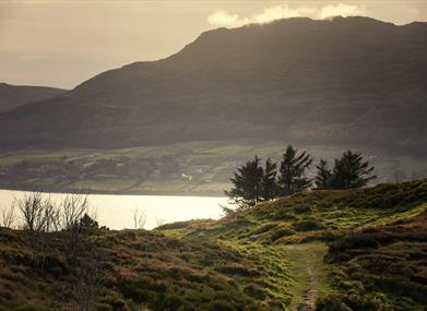 Kilbroney Park - Rostrevor - Discover Northern Ireland