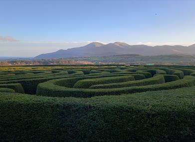 Castlewellan Peace Maze - Castlewellan - Discover Northern Ireland