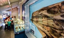 Top Five Facts about the West Runton Mammoth on the Deep History Coast ...