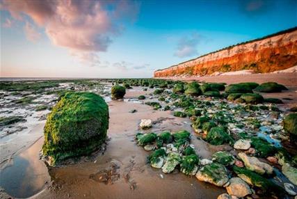 Blog (Outdoor Nature & Wildlife) - North Norfolk