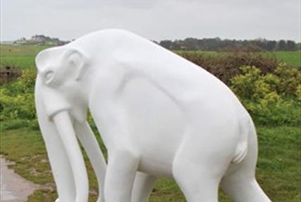 Blog (May 2022) - North Norfolk
