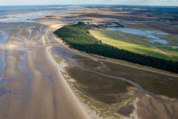Birdwatching in North Norfolk - North Norfolk