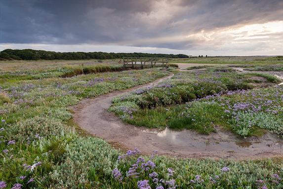 Stiffkey - North Norfolk