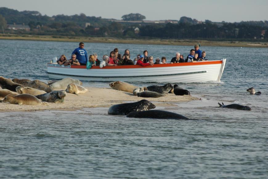 Discover the charm of Blakeney - Visit North Norfolk
