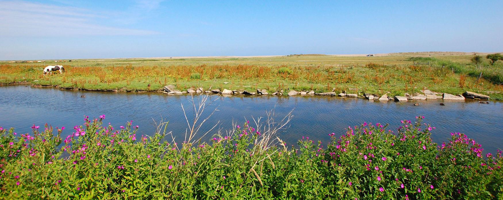 Salthouse - North Norfolk