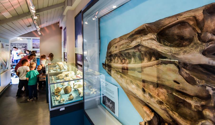 Cromer Museum - Museum in Cromer, Cromer - North Norfolk