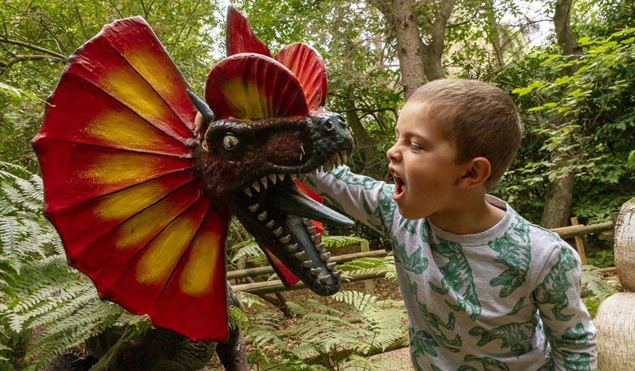 ROARR! - Theme Park in Lenwade, Norwich - North Norfolk