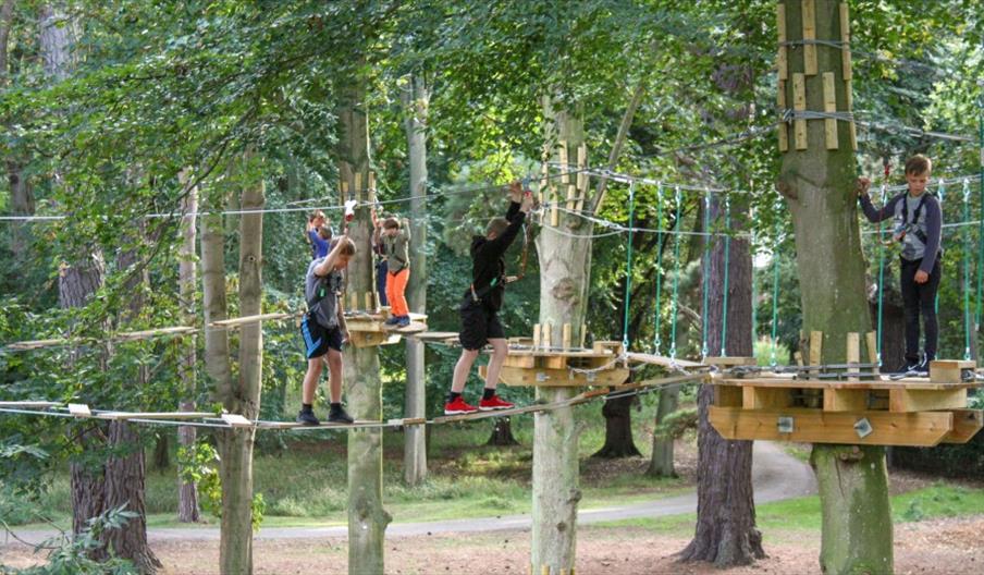 Holkham Ropes Course - Ropes Course in Wells-next- the-Sea, Wells-next ...