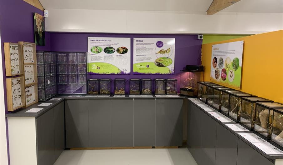 The Bug Parc - Zoo in Lenwade, Norfolk - North Norfolk