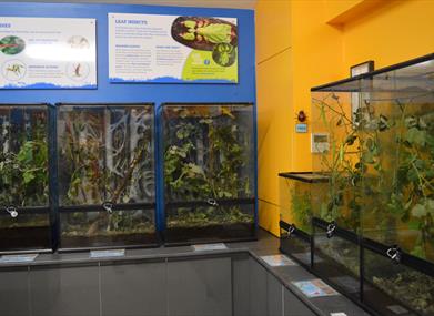 The Bug Parc - Zoo in Lenwade, Norfolk - North Norfolk