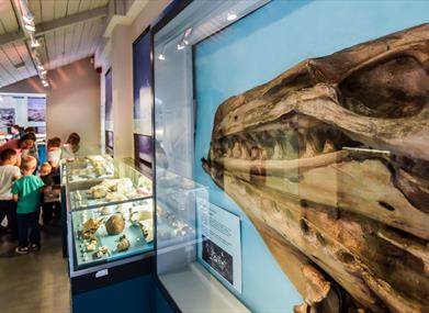 Cromer Museum - Museum in Cromer, Cromer - North Norfolk