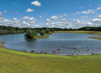 Watatunga Wildlife Reserve - Nature Reserve in Kings Lynn, King's Lynn ...