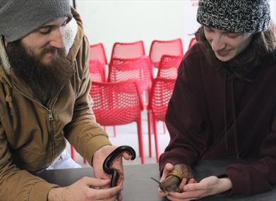 The Bug Parc - Zoo in Lenwade, Norfolk - North Norfolk