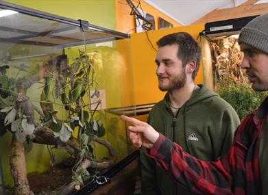 The Bug Parc - Zoo in Lenwade, Norfolk - North Norfolk