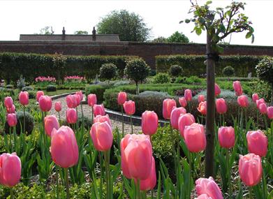 Hoveton Hall Gardens - Historic House in Norwich, Norwich - North Norfolk