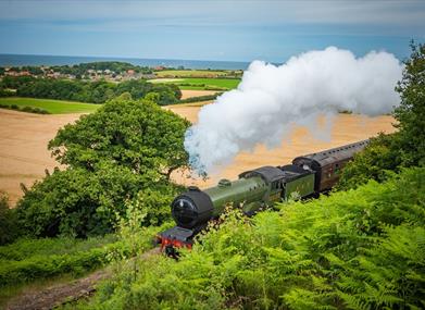 Kelling Heath Holiday Park - Holiday, Touring & Camping Park (SC) in ...