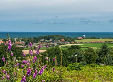 Kelling Heath Holiday Park - Holiday, Touring & Camping Park (SC) in ...