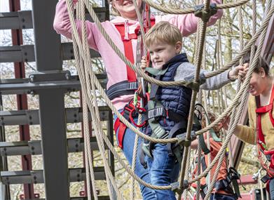 ROARR! - Theme Park in Lenwade, Norwich - North Norfolk