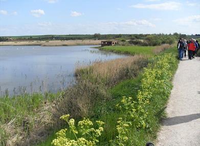 RSPB Titchwell Marsh Nature Reserve - Nature Reserve in King's Lynn ...