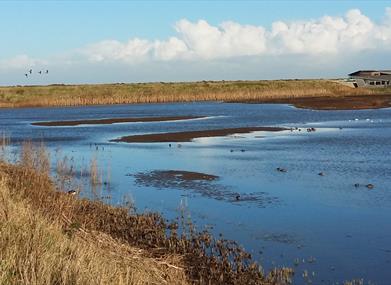 Titchwell - - North Norfolk