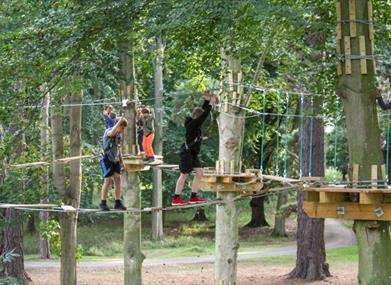 Holkham Ropes Course - Ropes Course in Wells-next- the-Sea, Wells-next ...