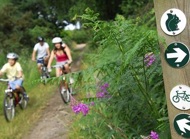 Kelling Heath Woodland Lodges - Holiday, Touring & Camping Park (SC) in ...