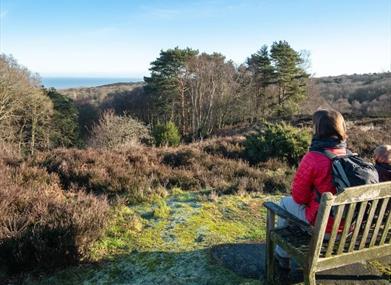 National Trust West Runton & Beeston Regis Heath - Nature Reserve in ...