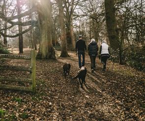 Walking in Nottingham and Nottinghamshire