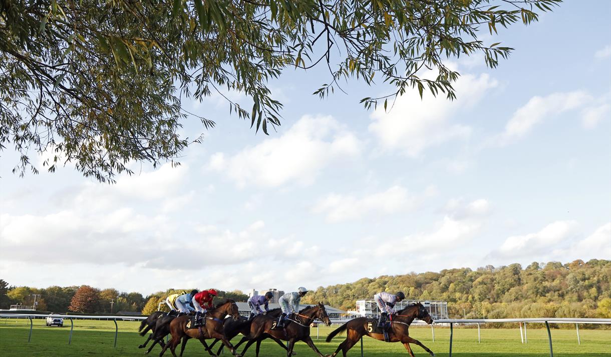 Nottingham Racecourse - Visit Nottinghamshire