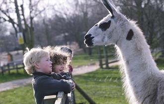 Family Attractions - Visit Nottinghamshire