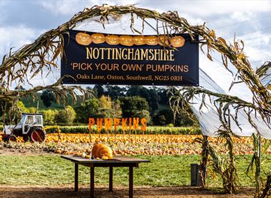 Nottinghamshire ‘Pick Your Own’ Pumpkins - Visit Nottinghamshire