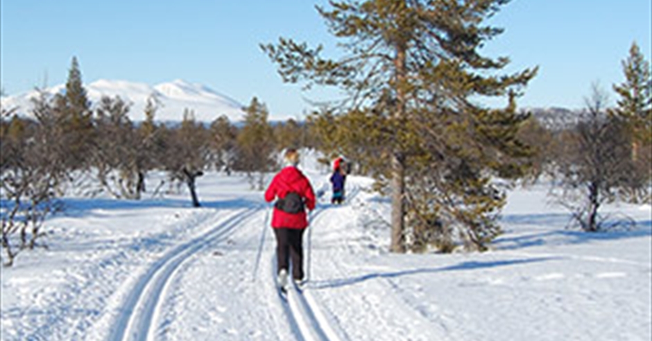 Info om Rendalen - Opplev Rendalen