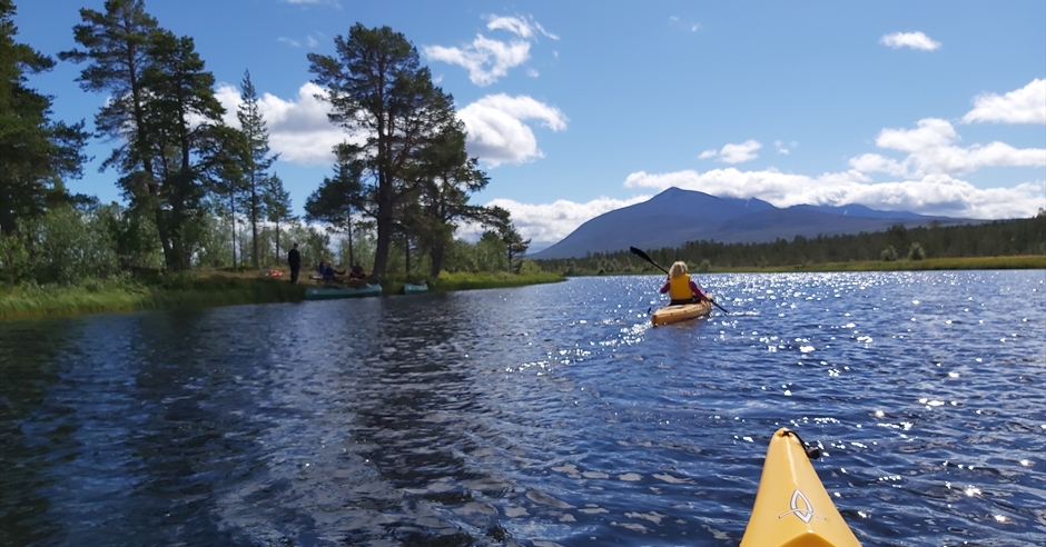 Fiske i Spekedalen og Sølensjøen - Fiske in Rendalen, Rendalen - Opplev ...