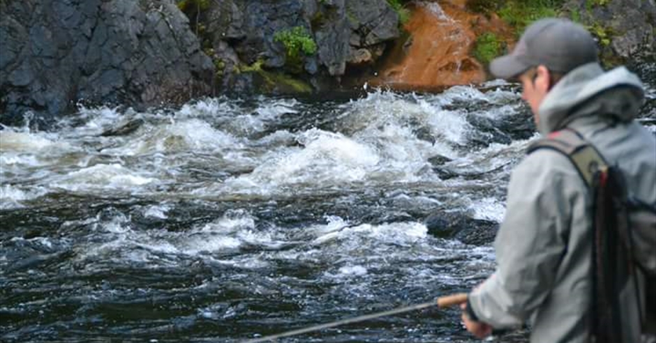 Fiskeguiding i Mistra - Guidet tur in Rendalen, Rendalen - Opplev Rendalen