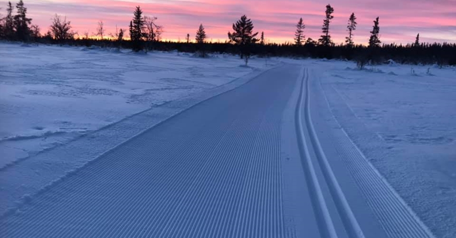 Rendalen løypelag - Langrenn in Rendalen, Rendalen - Opplev Rendalen