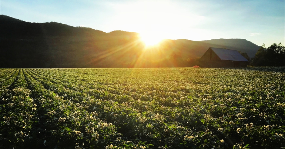 Haarseths Mandelpotet - Lokal mat in Rendalen, Rendalen - Opplev Rendalen