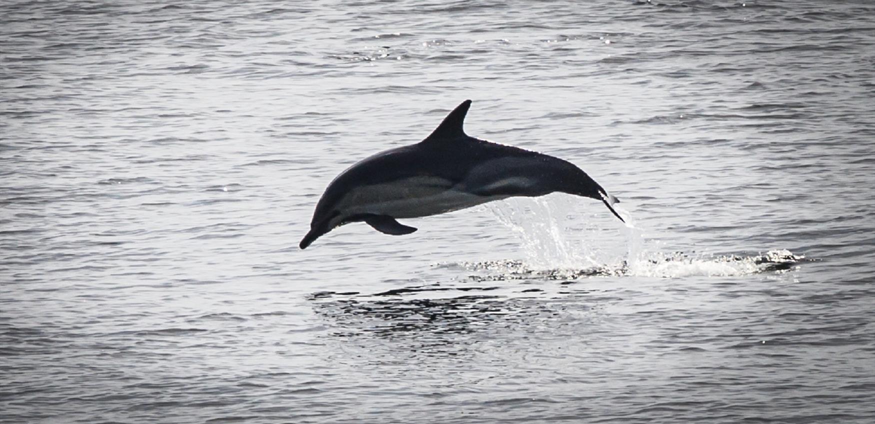 8 Ways to Experience the Outer Hebrides this Spring! - Outer Hebrides