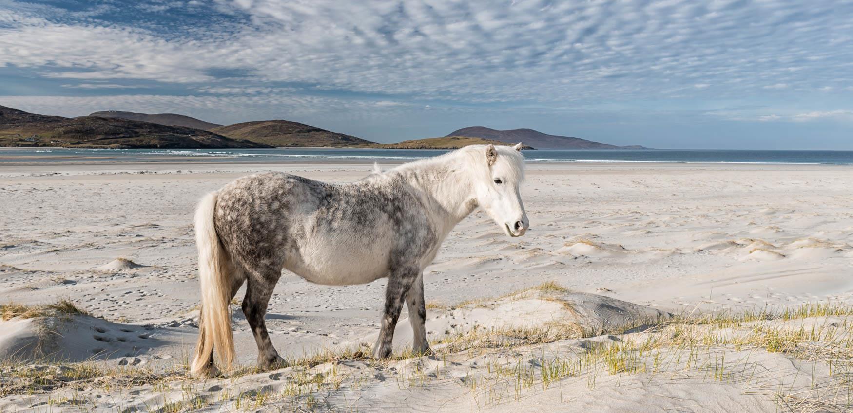 Discover the islands of the Outer Hebrides