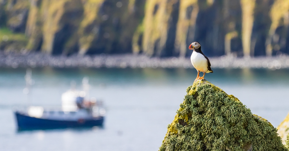 The Shiant Isles - Outer Hebrides