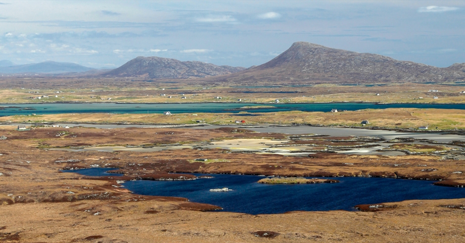 Birds of Prey in Benbecula, Outer Hebrides