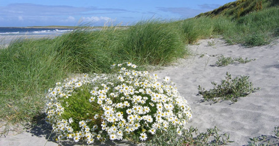 Milton Beach and Machair - Isle Of South Uist - Outer Hebrides