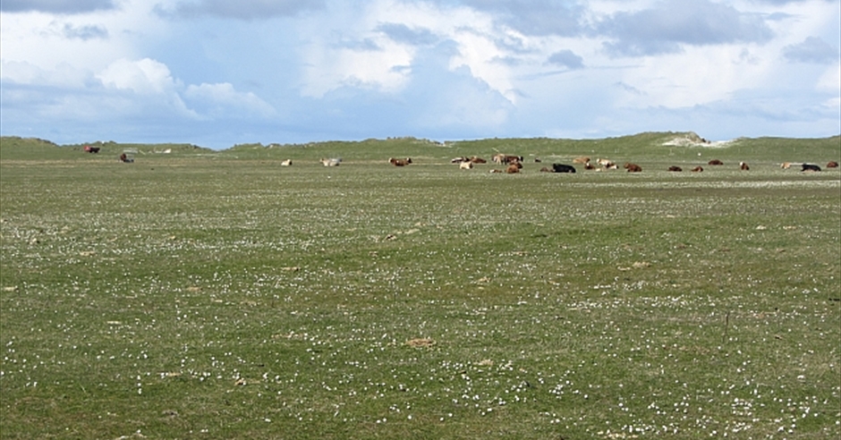 Bornish Beach and Machair - Isle Of South Uist - Outer Hebrides