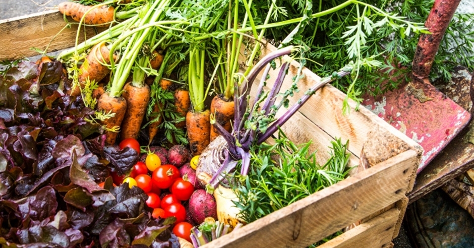 Scarista House - Isle of Harris - Outer Hebrides