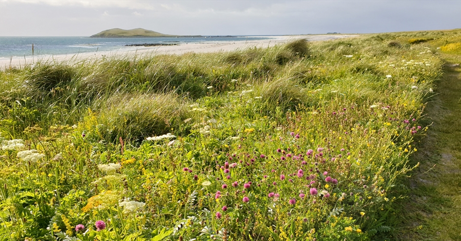Garrynamonie Machair & Beach - Isle Of South Uist - Outer Hebrides