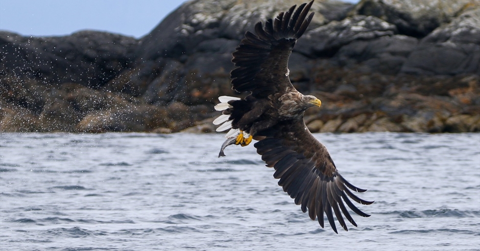 Lady Anne Wildlife Cruises - Isle of North Uist - Outer Hebrides