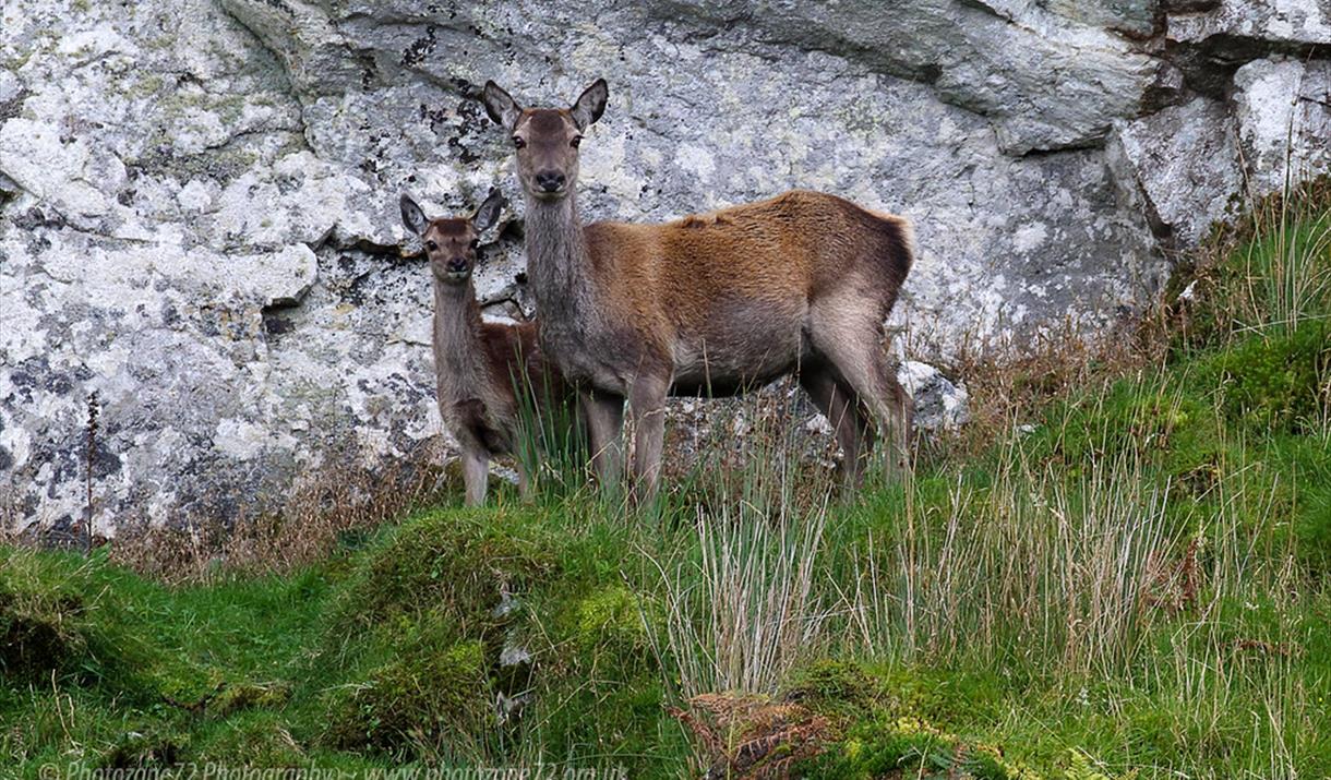 Lady Anne Wildlife Cruises - Isle of North Uist - Outer Hebrides